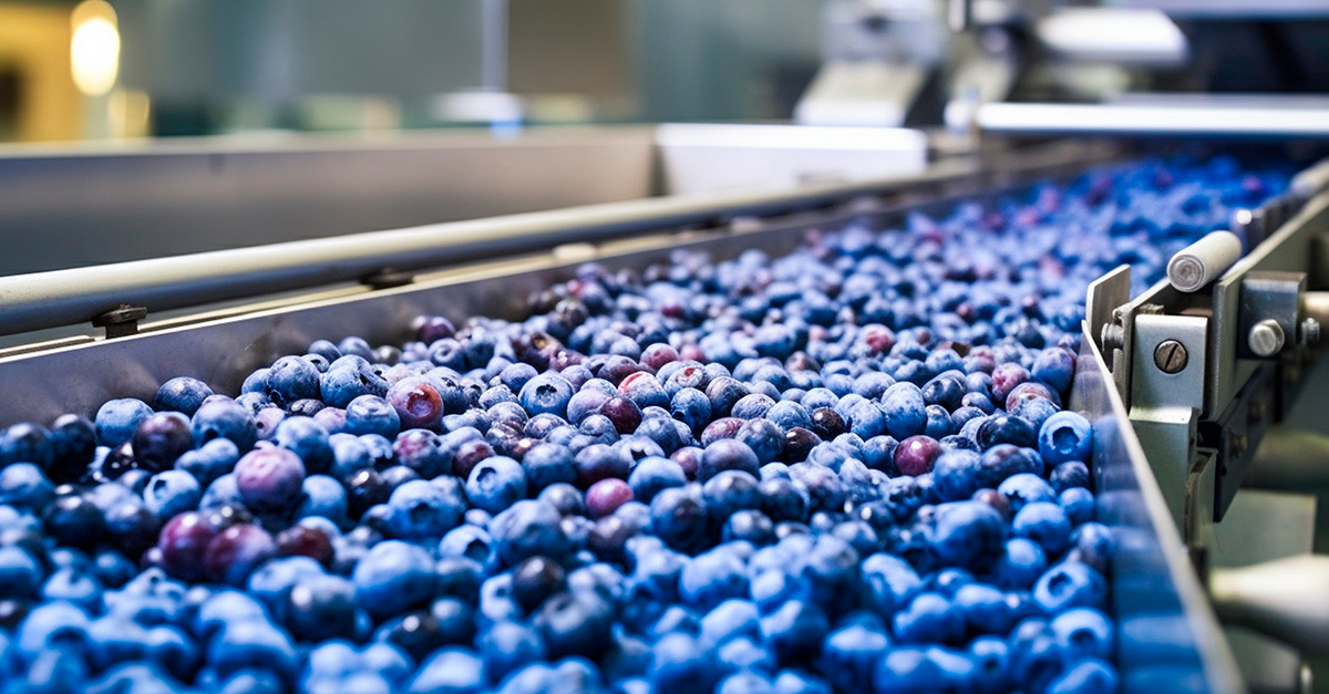 Unlocking the cloud superpower for F&B businesses | Fortude